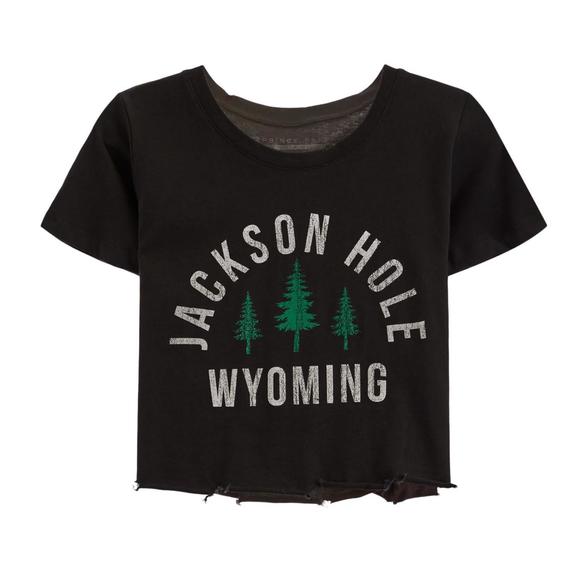 Prince Peter Collection | Tops | New Prince Peter Jackson Hole Crop Tee ...